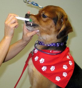 Regular Dental Examinations Provide Early Detection of Oral Tumors in ...